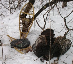 How Do You Setup for Winter Turkeys?