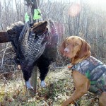 Wisconsin 2103 Fall Turkey Drawing and Over the Counter Tags